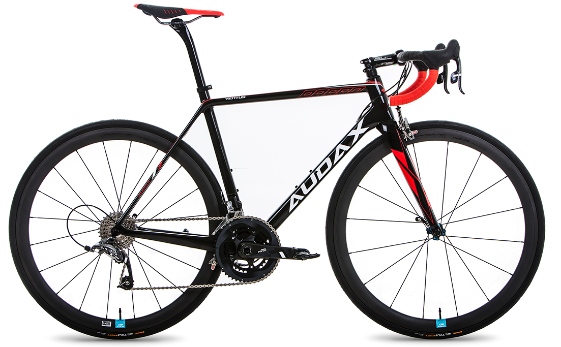 AUDAX